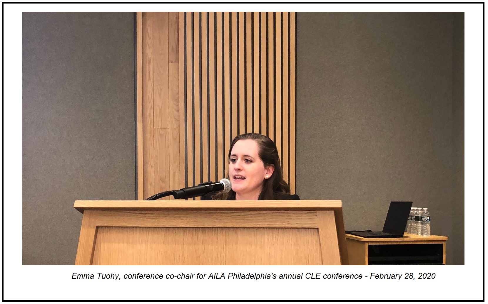 LHSCD Attorneys Lead at AILA CLE Conference | Landau, Hess, Simon, Choi ...